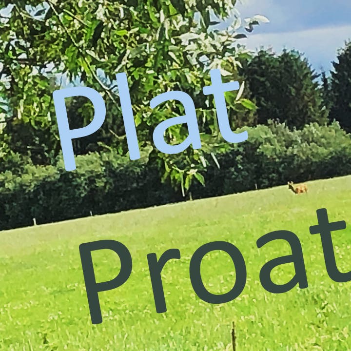 Plat proat'n op BuurtMaken.nl