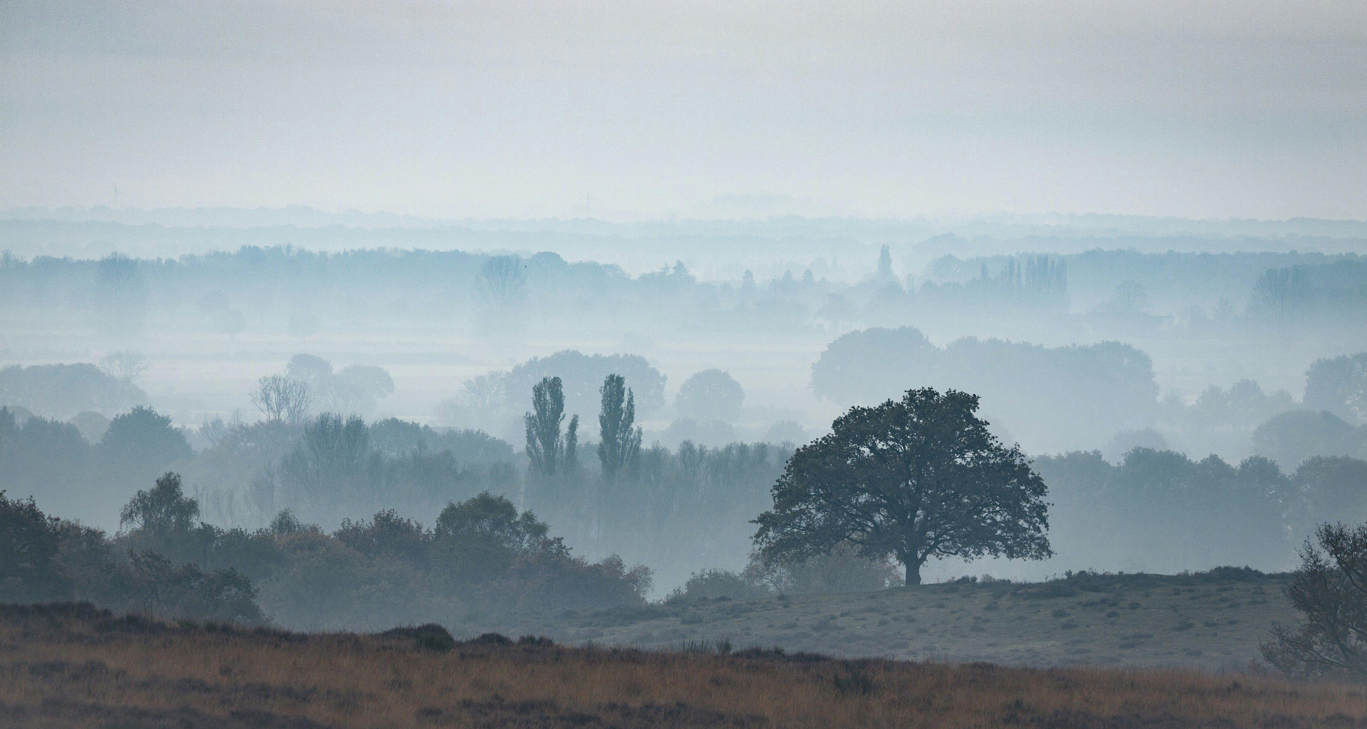 De slag om de Mookerheide | in berichten op MijnBrakkenstein.nl