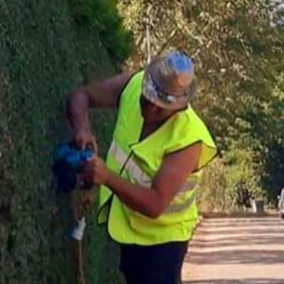 Pascal van der Veer op WijWijchen.nl