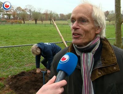 Vierde Johan de Jong-boom geplant in Wijckel | in berichten op ...