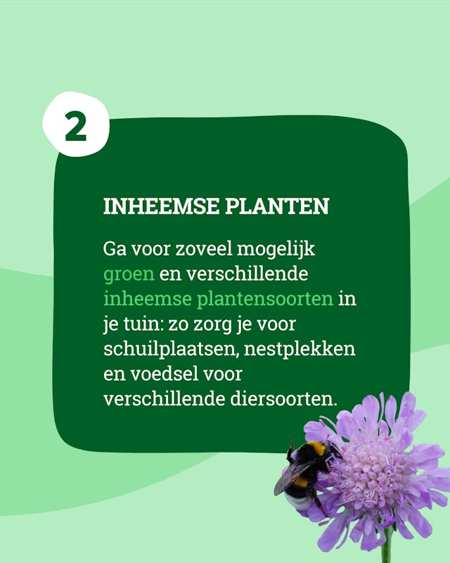 Zes tips voor meer dieren in je tuin | in berichten op PuurPapendrecht.nl
